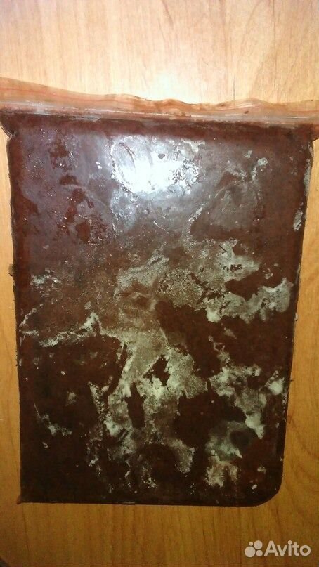 Красный крупный циклоп и другие корма