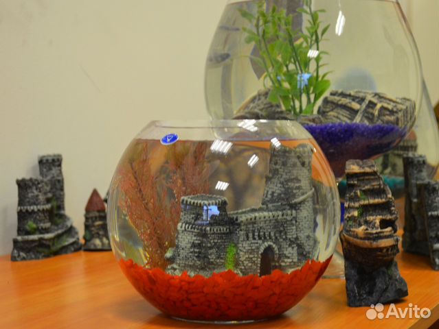 Подарок Аквариум шар на 8л с петушком