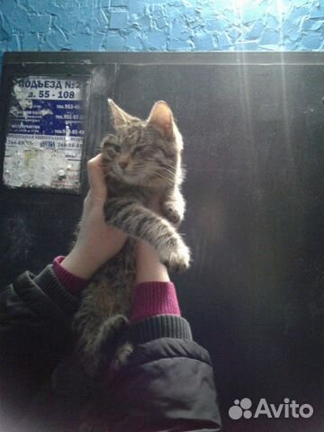 Малышки-сестрички замерзают возле подъезда