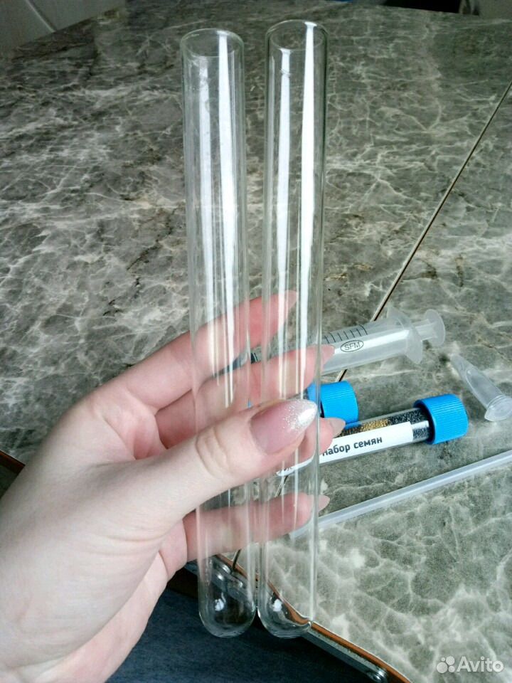 Аксессуары для муравьиной фермы