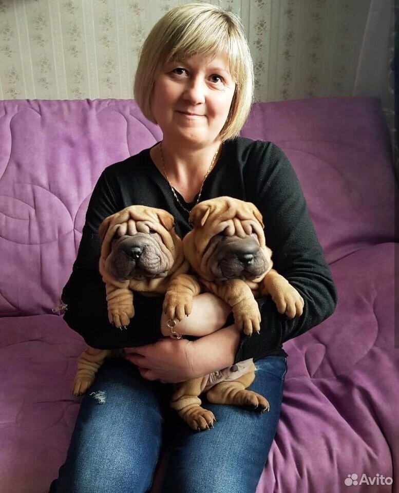 Плюшки шар-пеюшки ждут родителей