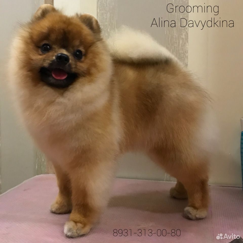 Шпиц кабель для вязки