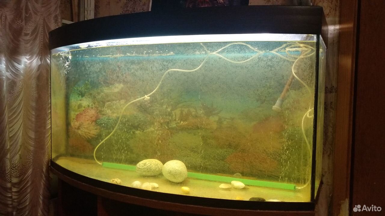 Аквариум Биодизайн Панорама 270 литров