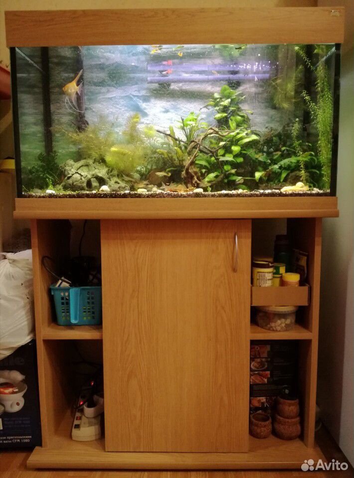 Аквариум