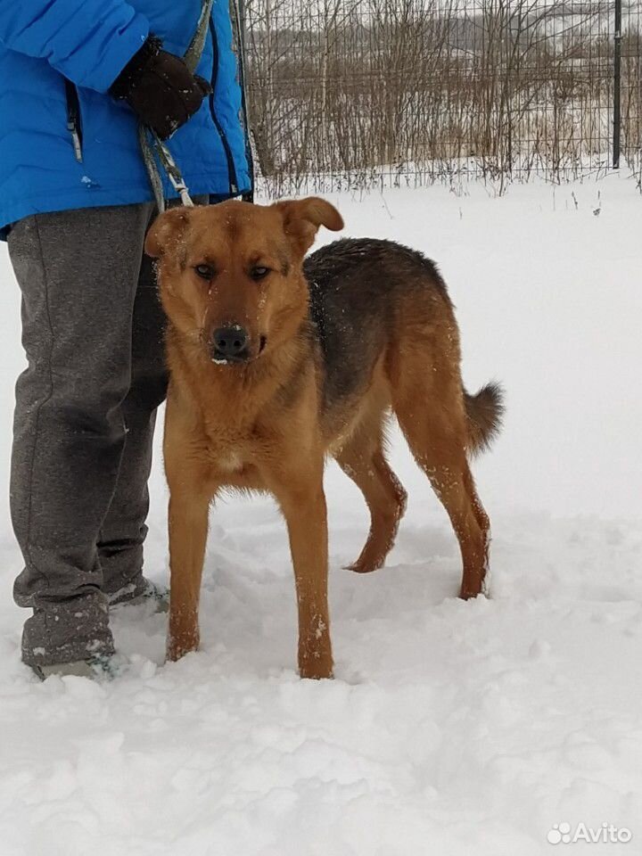 Ищет дом молодая девочка