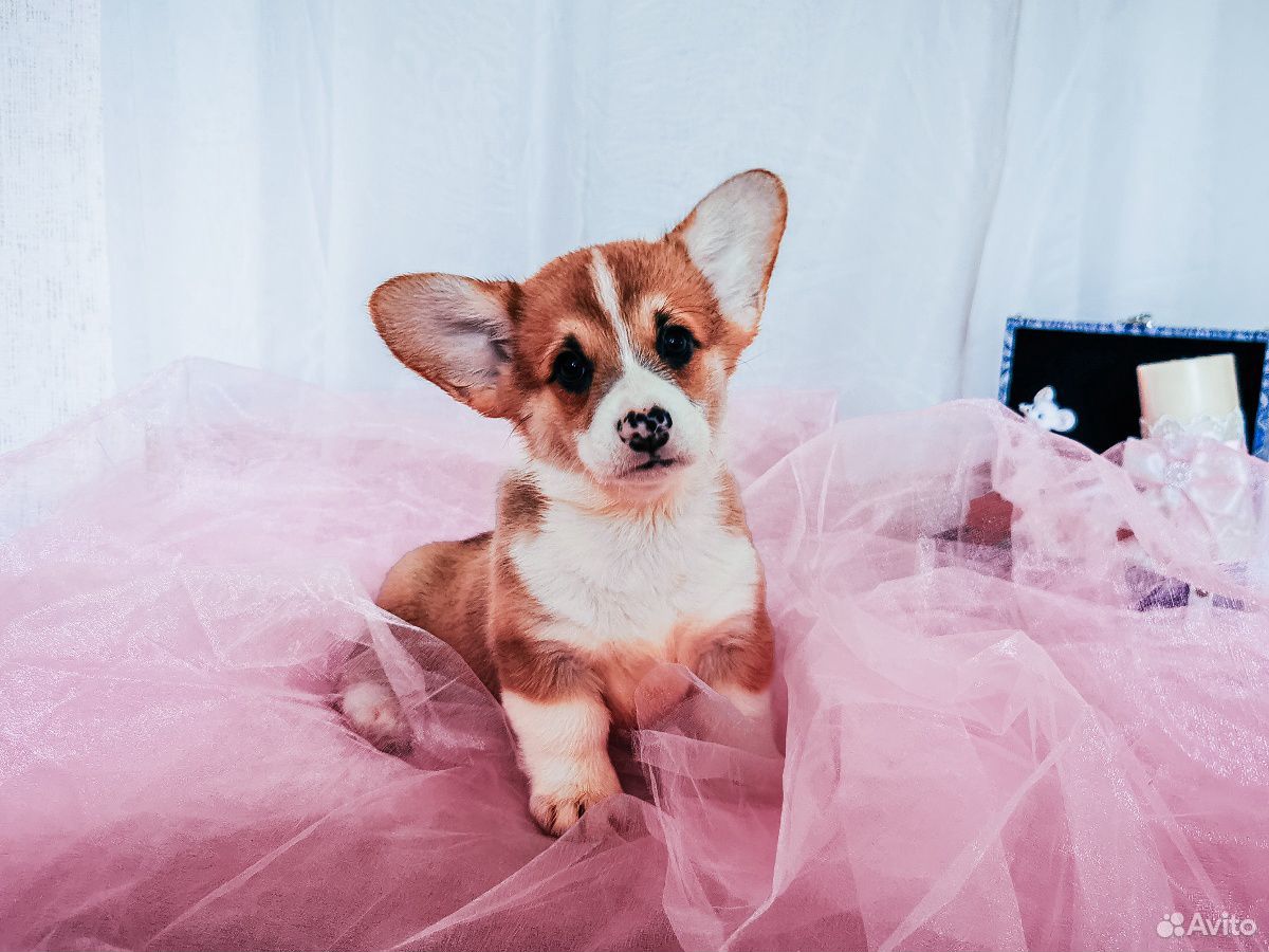 Лучший подарок на день всех влюбленных