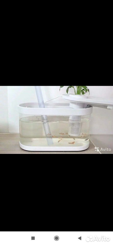 Аквариум умный