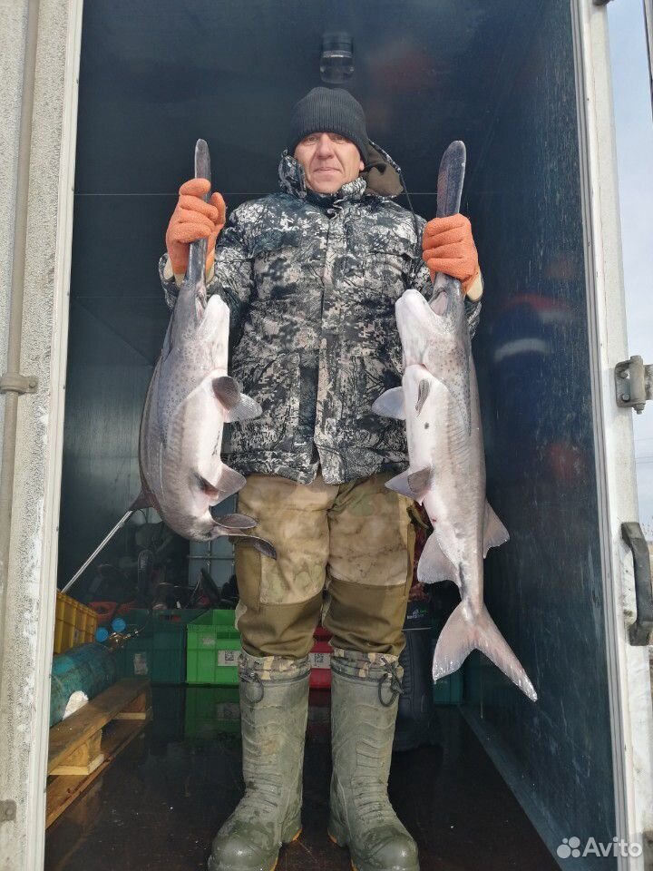 Живая Рыба для зарыбления водоемов и прудов. раки