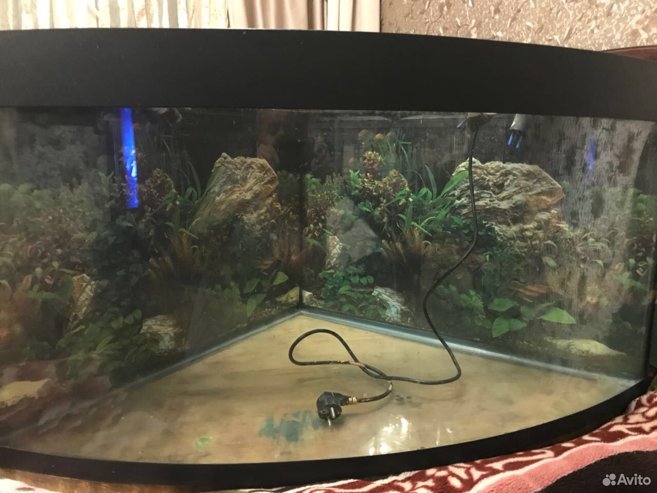 Аквариум