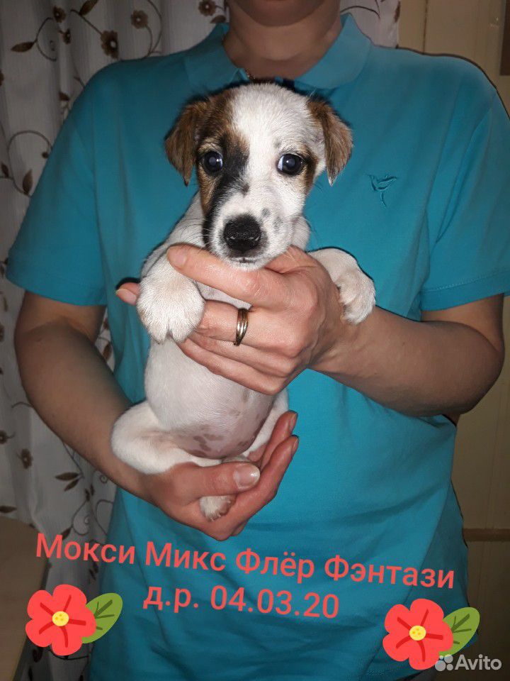 Мокси Микс Флёр Фэнтази