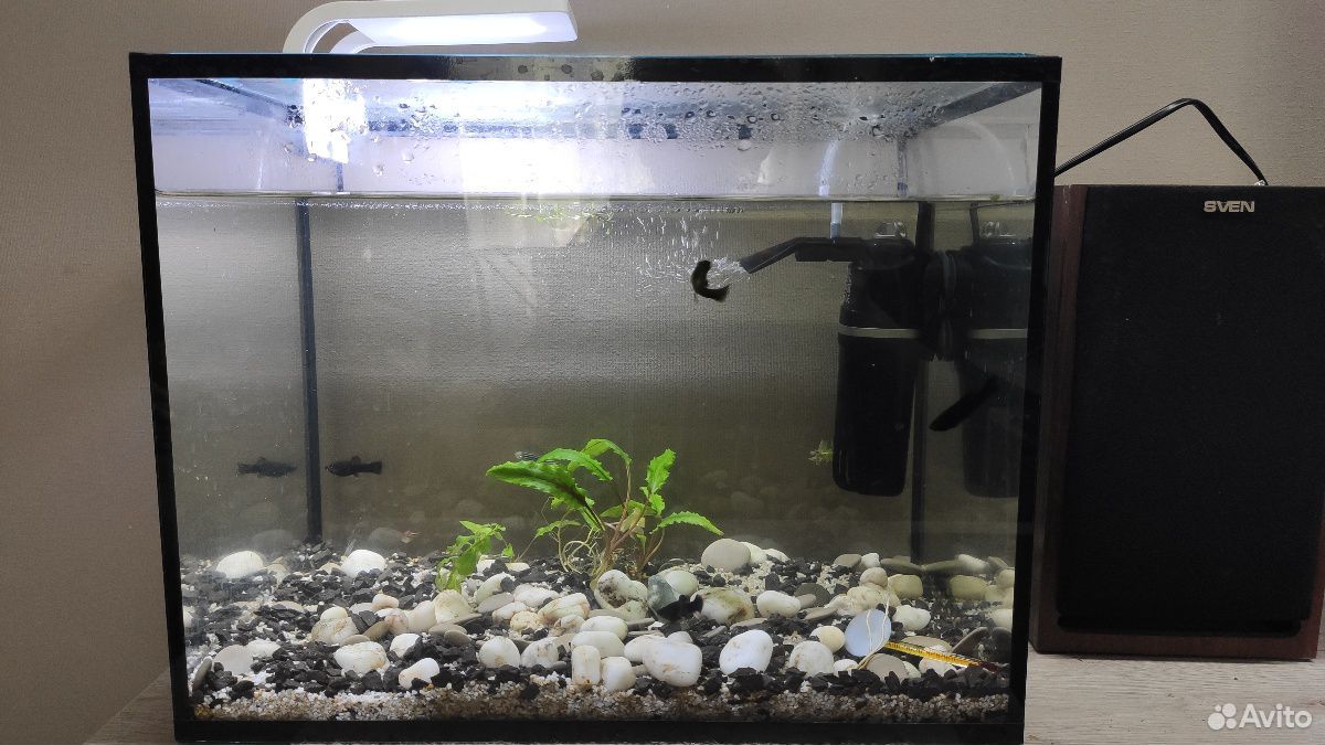 Аквариум 40 литров