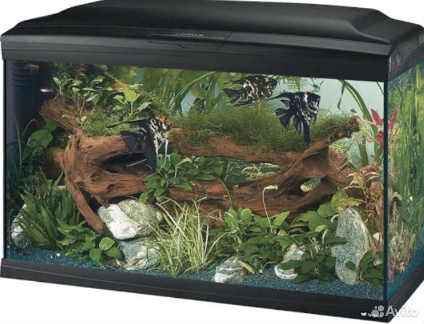 Аквариум Ferplast Cayman 60 prof 75 л чёрный