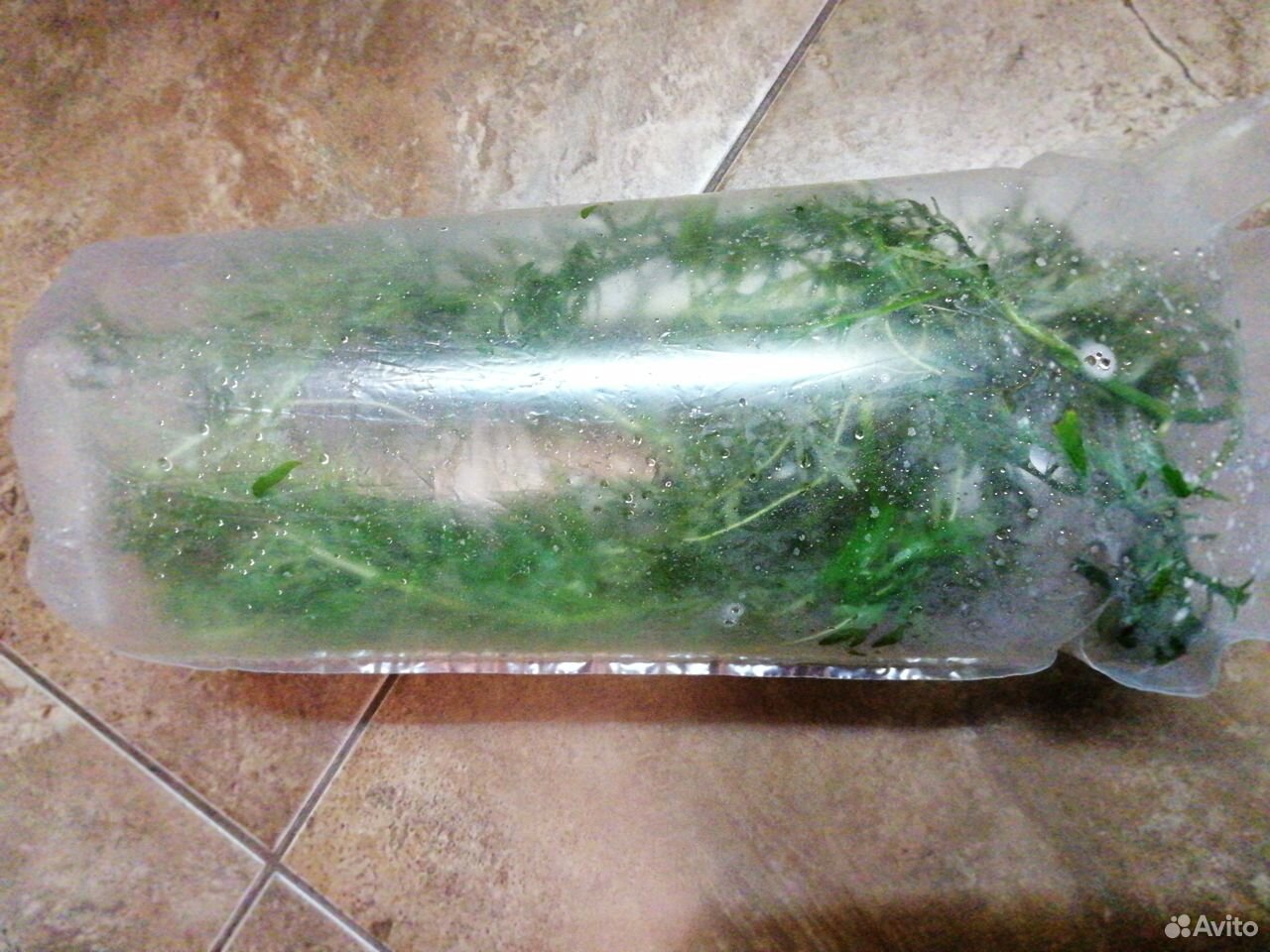 Прополка растений для аквариума