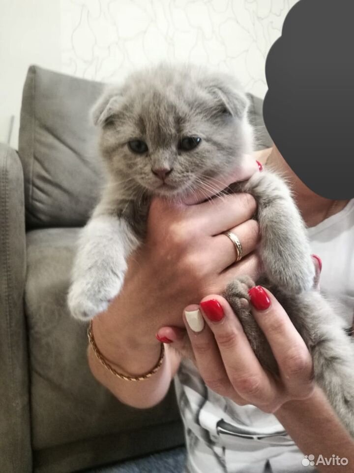 Британская