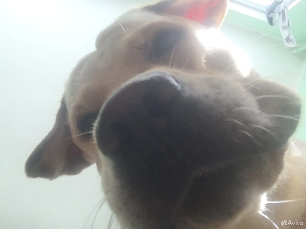 Ищу подругу на одну ночь