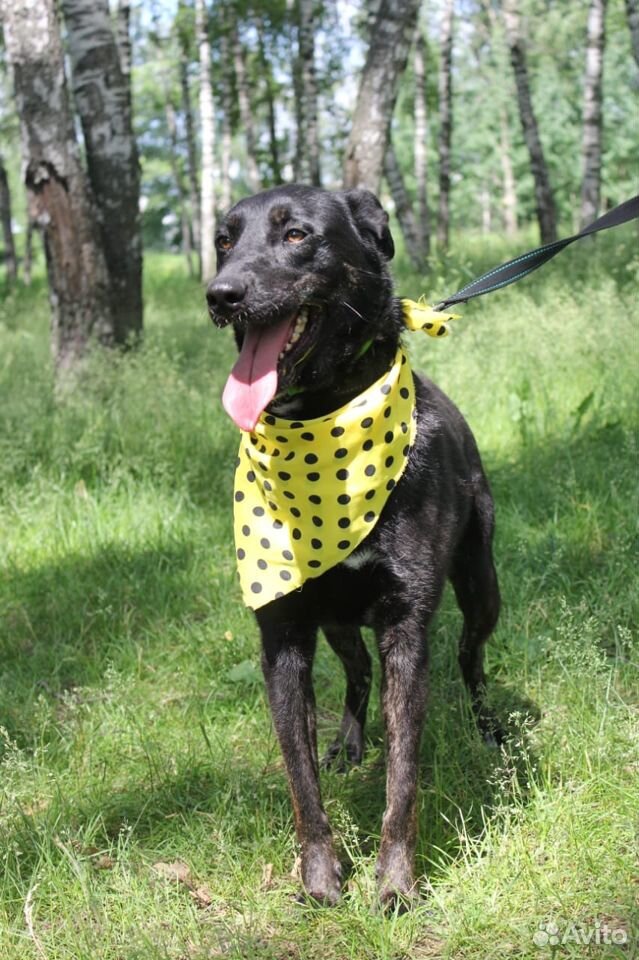 Бартик
