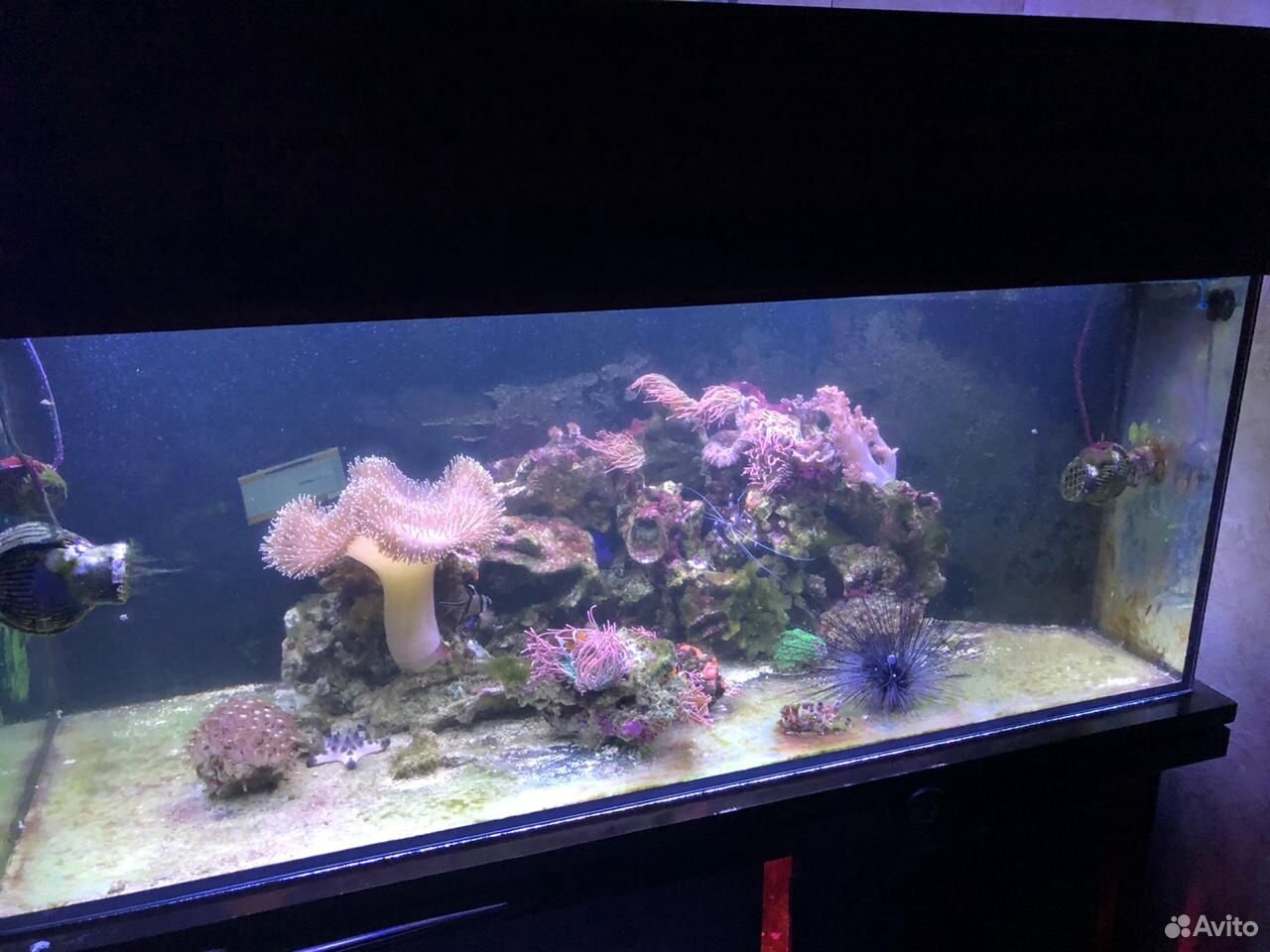 Морской аквариум 1350х550х550