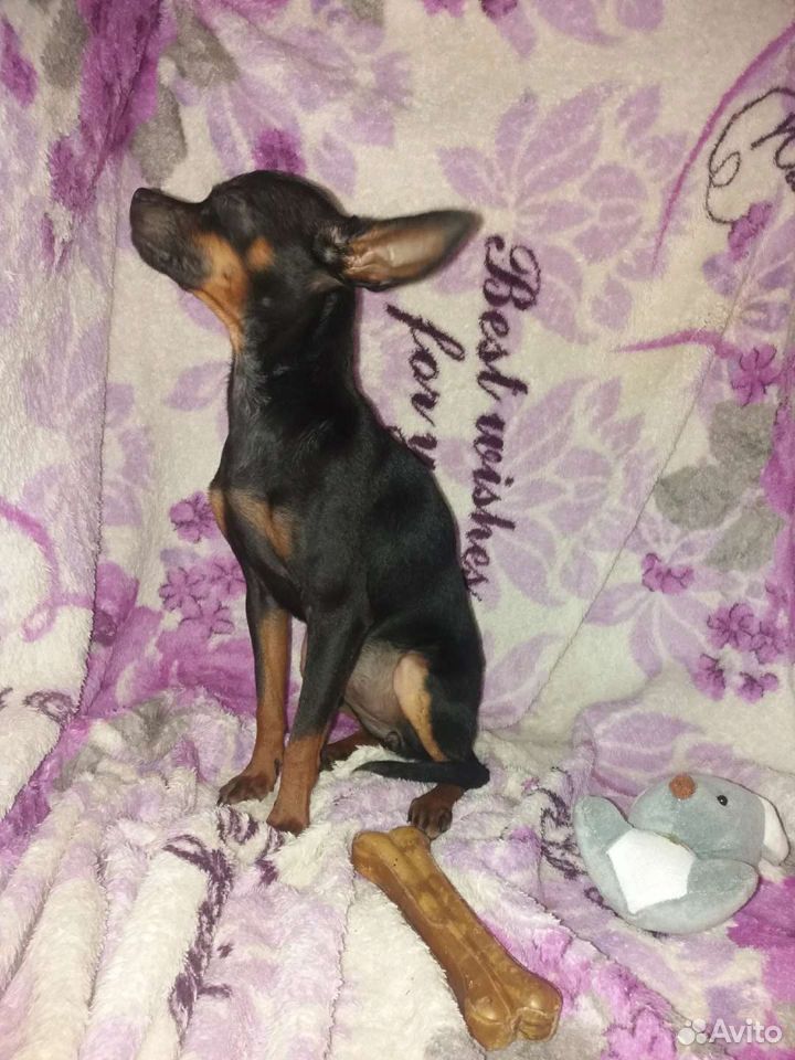 Милая девчушка