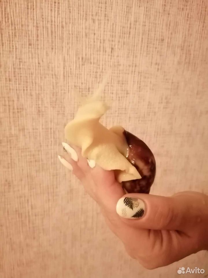 Улитки, 2 шутки, маленькие, любят огурцы