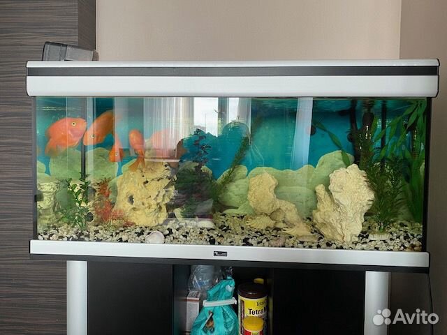 Аквариум