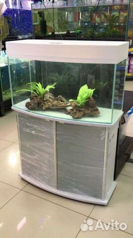 Аквариум телевизор 100 л белый