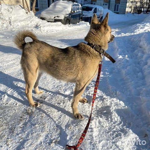 Габи в заботливые ручки