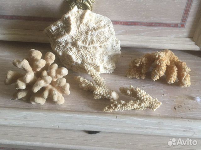 Кораллы, украшение для аквариума