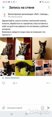 Отдам в добрые руки маленькую