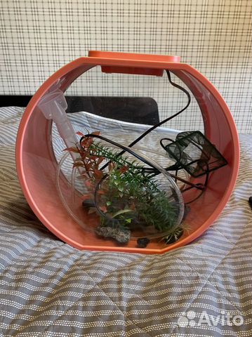 Аквариум Nemo