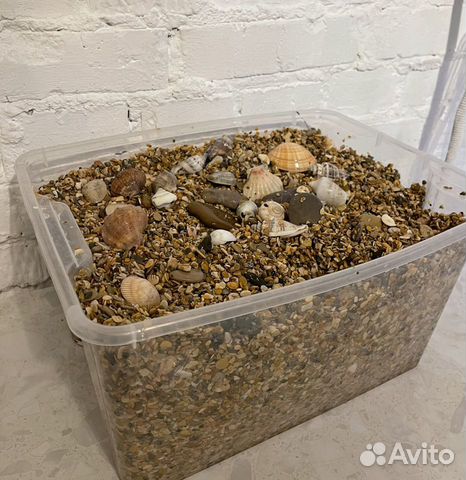 Грунт для аквариума (пляж )