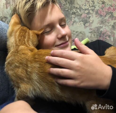Подобран ласковый котенок, брошенный на даче,3 мес