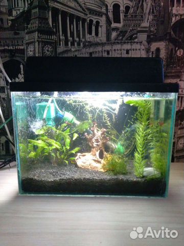 Аквариум 25 литров