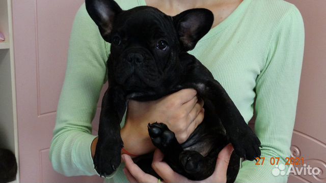 Француженка