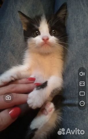 Малыш - сладкий маленький мальчик 1.5 мес