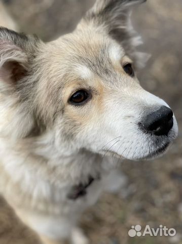 Дина, 10 месяцев