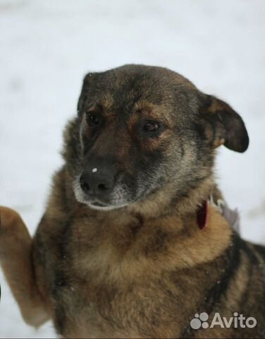 Нежная девочка гибнет за решеткой