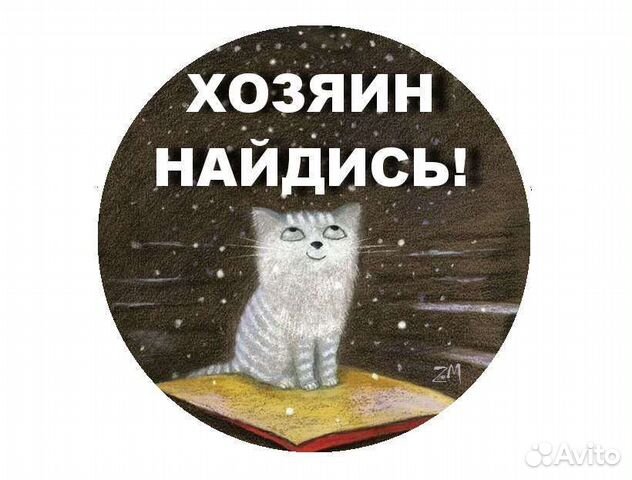 В возьму дар котенка