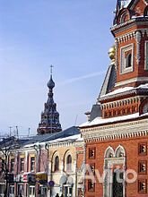 Найдена кошка британка,чёрная