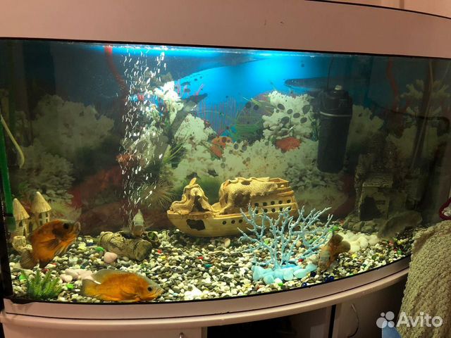 Аквариум с тумбой