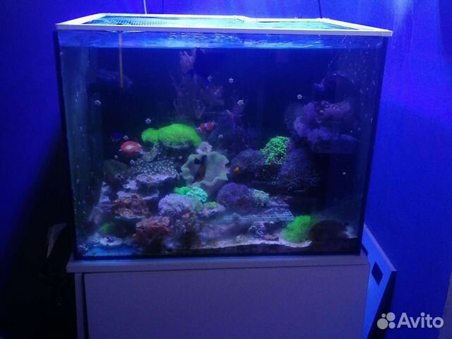 Морской аквариум