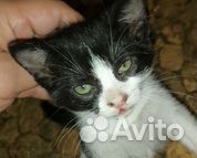 Их мама скончалась накануне весеннего солцестояния