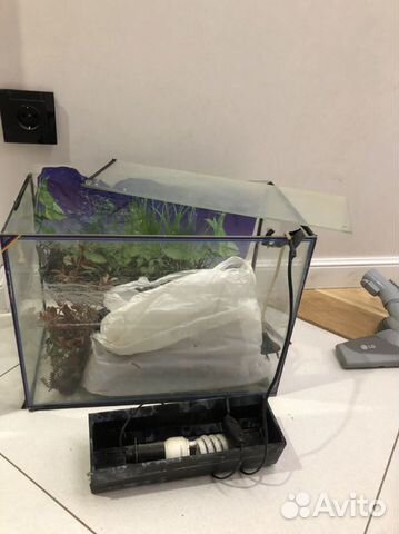 Аквариум