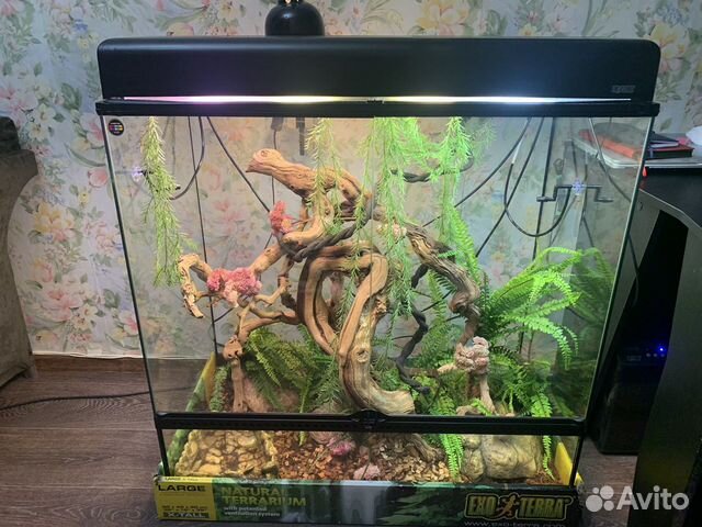 Террариум большой