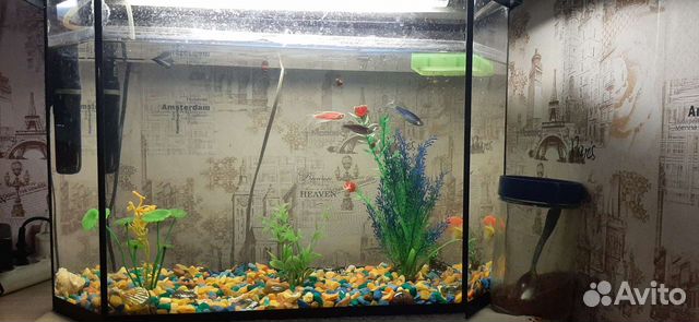 Аквариум