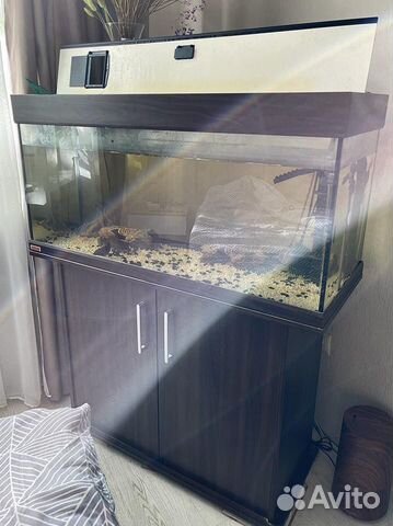 Аквариум eheim с тумбой 200 л. с рыбками
