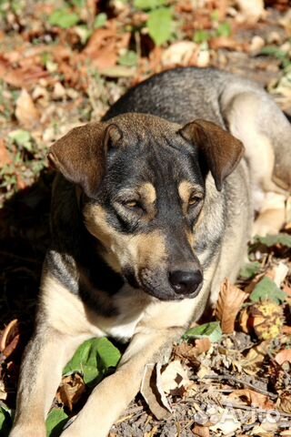 Девочка Лола