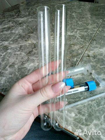 Аксессуары для муравьиной фермы