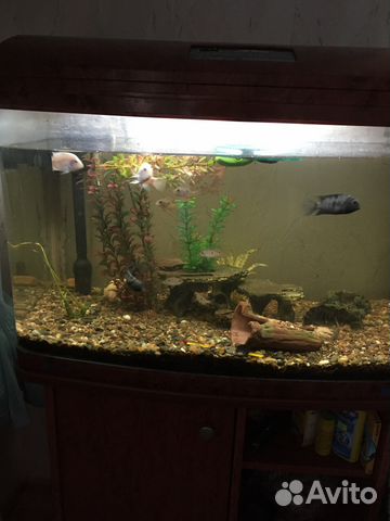 Аквариум jebo R375 143л