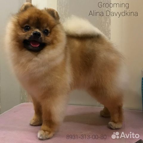 Шпиц кабель для вязки