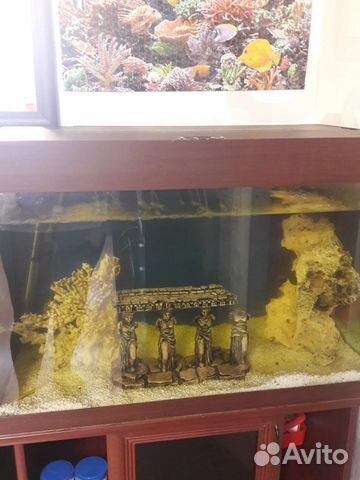 Аквариум AquaPlus